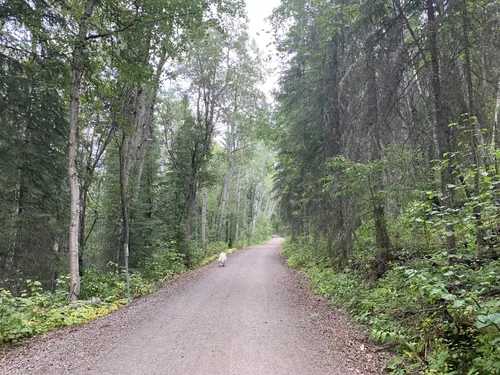 Best River Trails in Vanderhoof | AllTrails