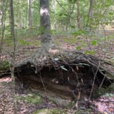 Marl Ravine Trail, Virginia - 45 Reviews, Map | AllTrails