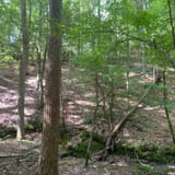 Marl Ravine Trail, Virginia - 45 Reviews, Map | AllTrails