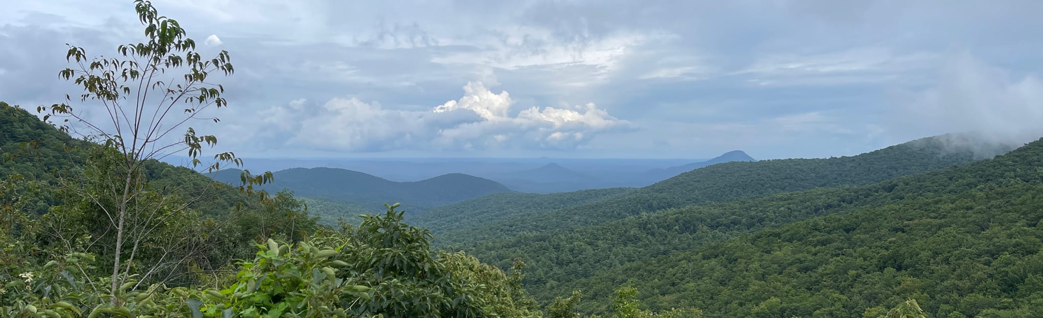 Russell - Brasstown Scenic Byway - Georgia | AllTrails