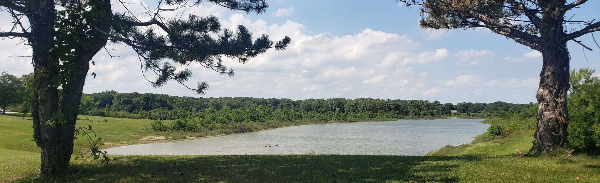 Tinley Blue and Green Trails, Illinois - 11 Reviews, Map | AllTrails