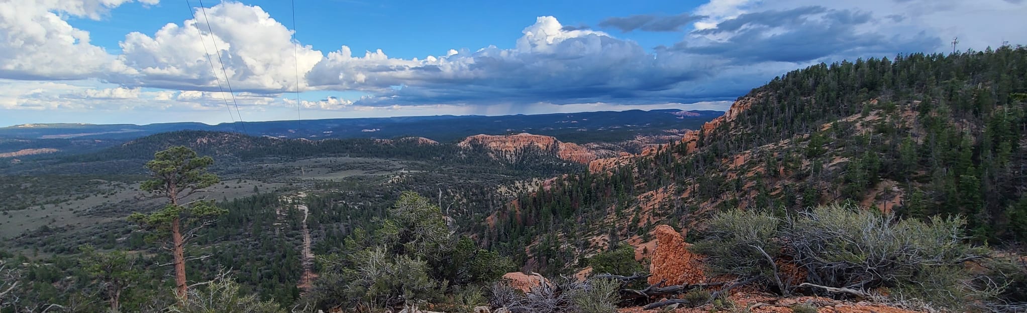 Coyote Hollow OHV Trail | Map, Guide - Utah | AllTrails