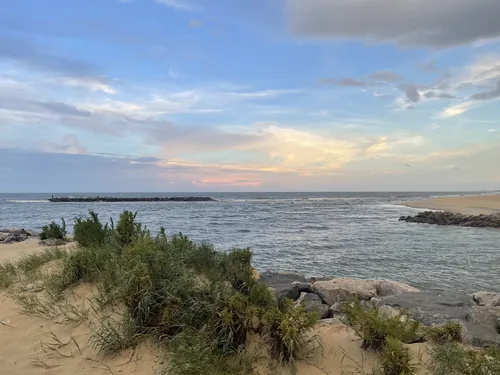 10 Best Trails and Hikes in Virginia Beach | AllTrails