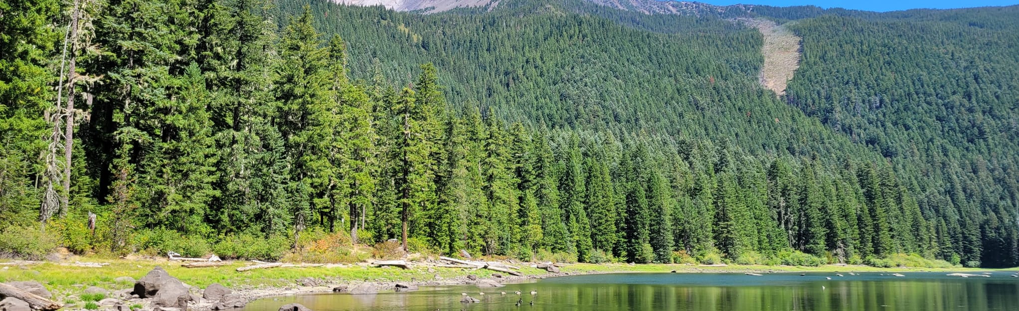 Pamelia Lake Trail, Oregon - 502 Reviews, Map | AllTrails