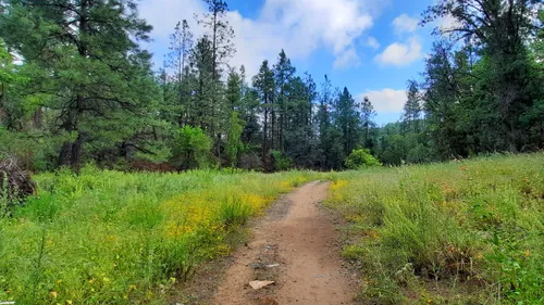10 Best Forest Trails in Prescott National Forest | AllTrails