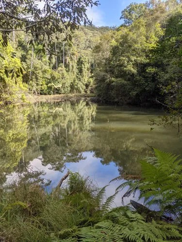 Best Hikes and Trails in Katandra Reserve | AllTrails