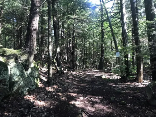 10 Best Trails and Hikes in Hanover | AllTrails