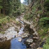 Sarn Helen (Long Route) Circular, Gwynedd, Wales - 2 Reviews, Map ...