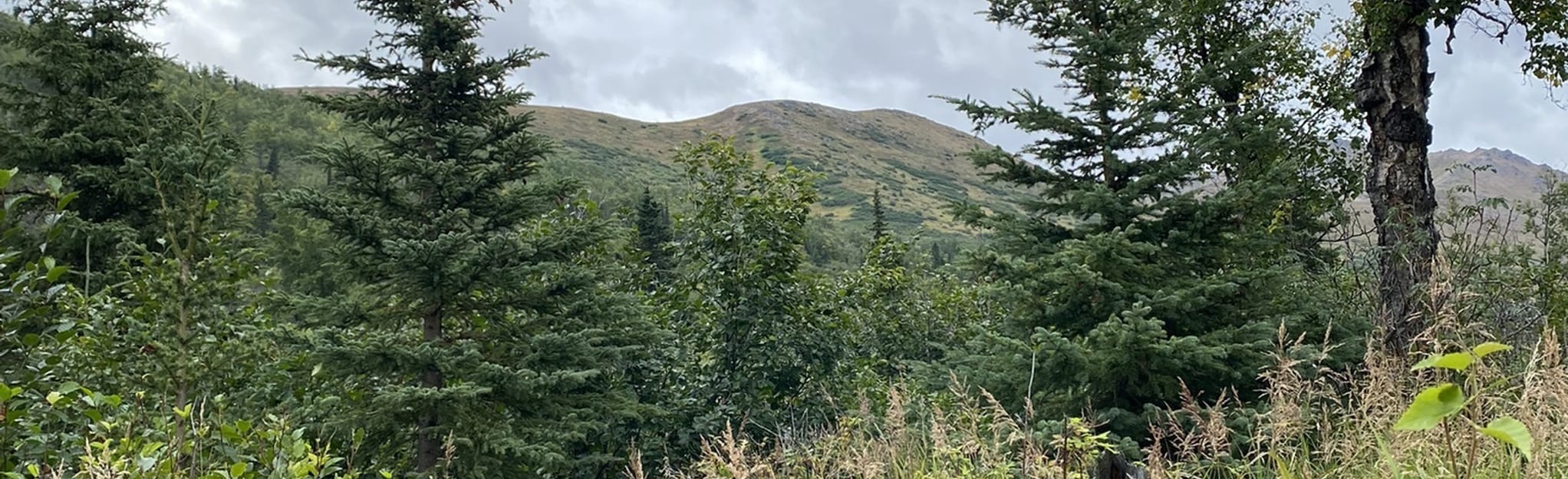 Snow Hawk Mountain via The Dome: 2 Reviews, Map - Alaska | AllTrails