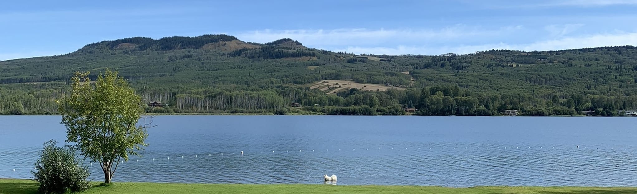 Aldemere Trail, British Columbia, Canada - 19 Reviews, Map | AllTrails