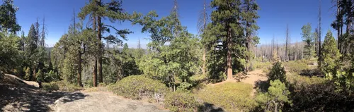 10 Best Trails and Hikes in Cedar Grove | AllTrails