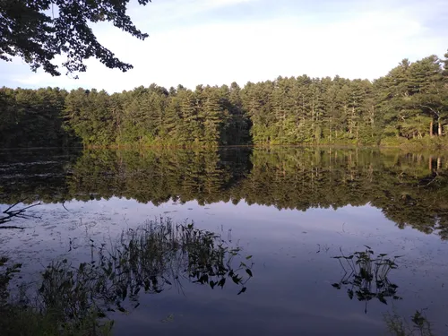Best Hikes and Trails in Quaddick State Park | AllTrails