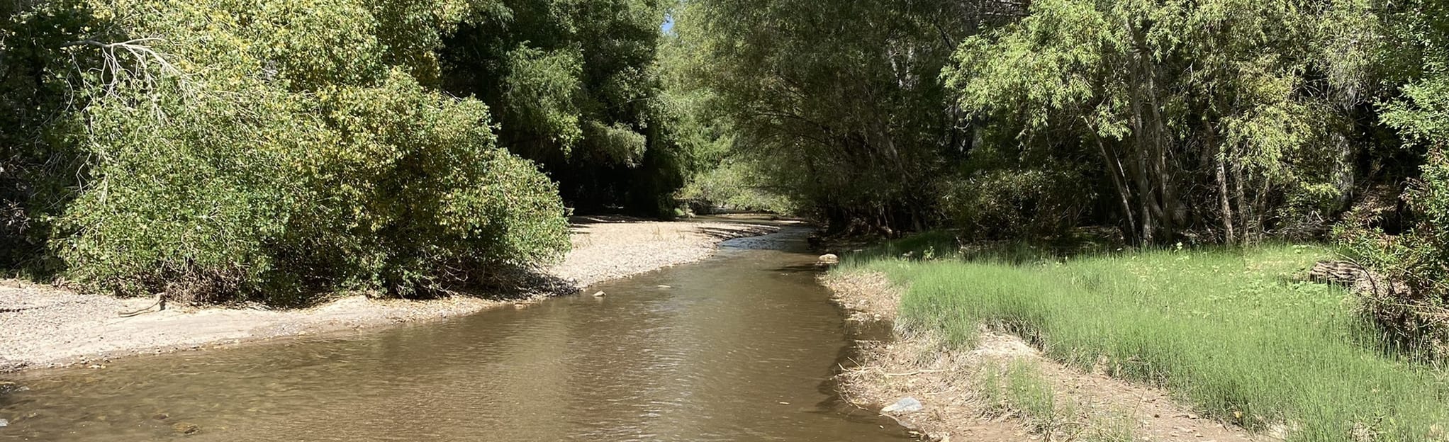 Aravaipa Canyon Trail - Arizona | AllTrails