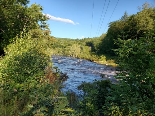 Best Hikes and Trails in Fox State Forest | AllTrails