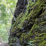 Paulinskill Valley Rail Trail , New Jersey - 163 Reviews, Map | AllTrails