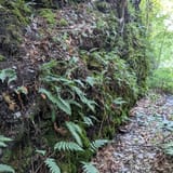 Paulinskill Valley Rail Trail , New Jersey - 163 Reviews, Map | AllTrails