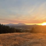 Bald Hill Natural Area Loop, Oregon - 304 Reviews, Map | AllTrails