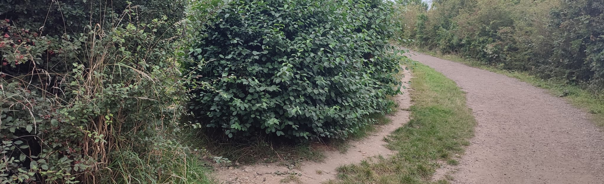 Alver Valley Country Park Circular: 20 Reviews, Map - Hampshire ...