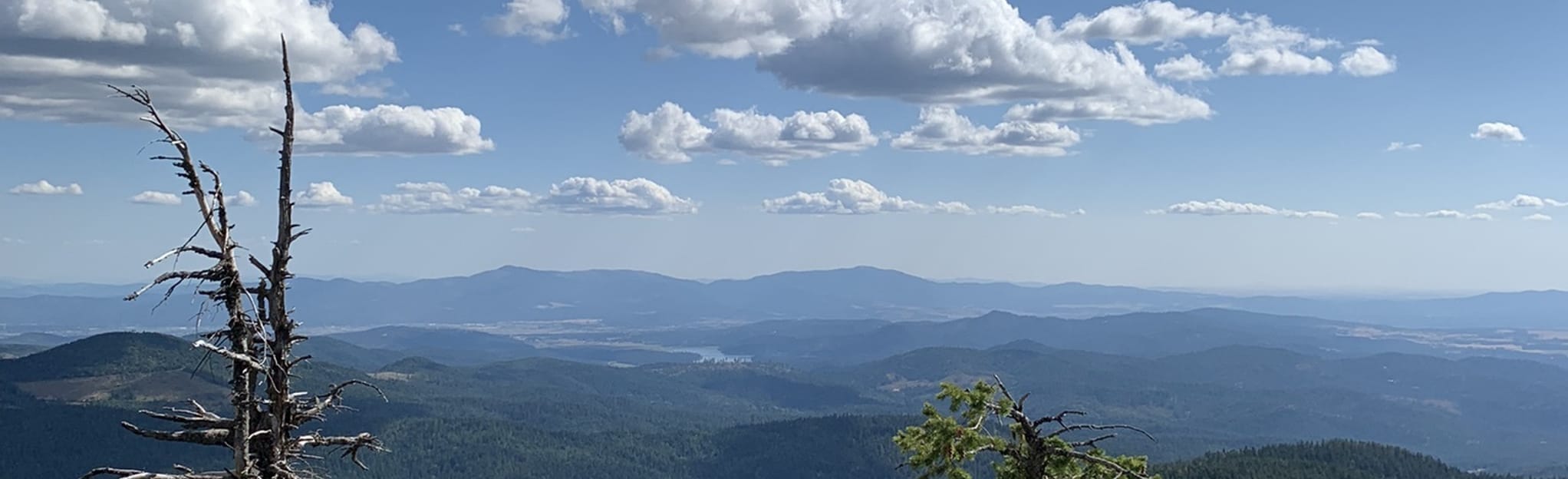 Mount Kit Carson Trail - Washington | AllTrails