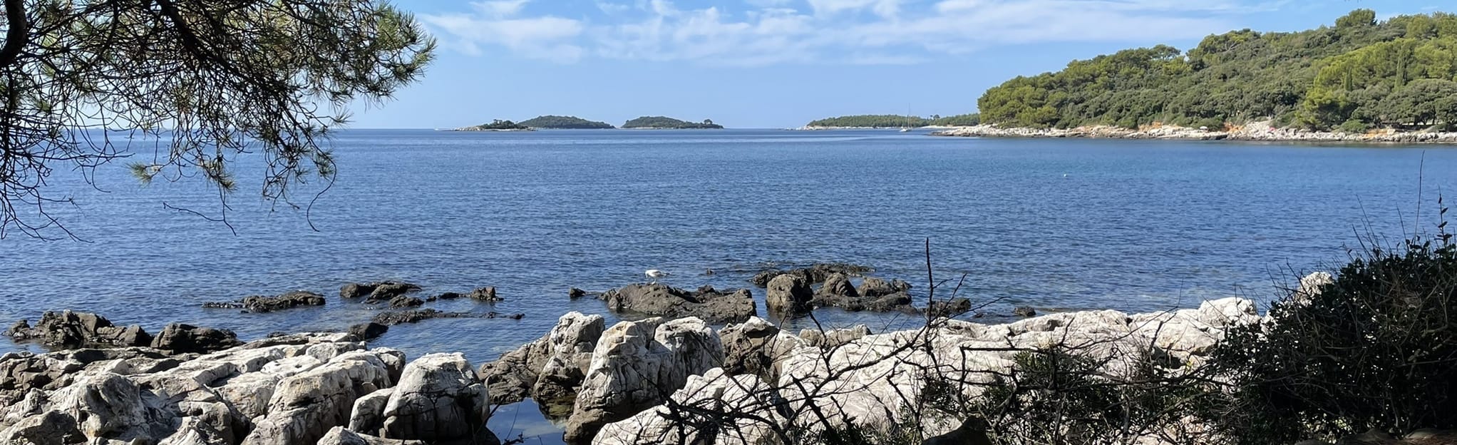 Kuvi Bay - Rovinj: 111 foto's - Istra, Kroatië | Wandelen - AllTrails