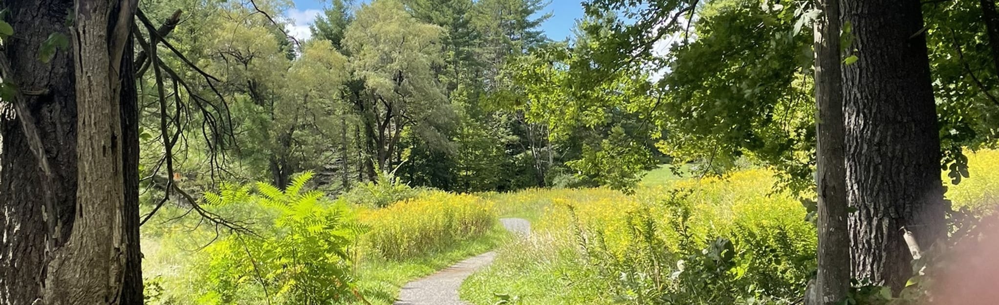 Parson’s Marsh Trail: 45 Reviews, Map - Massachusetts | AllTrails