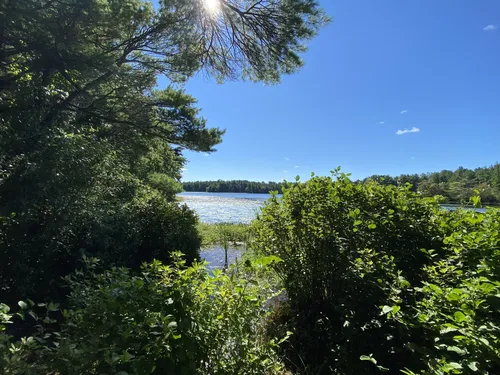 Best Hikes and Trails in Massasoit State Park | AllTrails