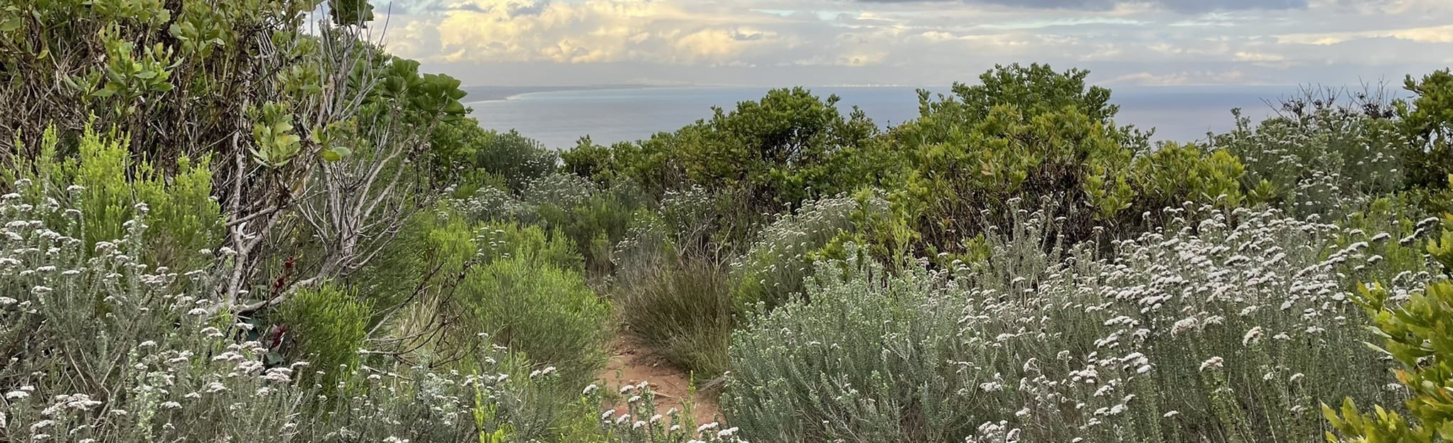 Old Mule Track: 121 foto's - West-Kaap, Zuid-Afrika | AllTrails