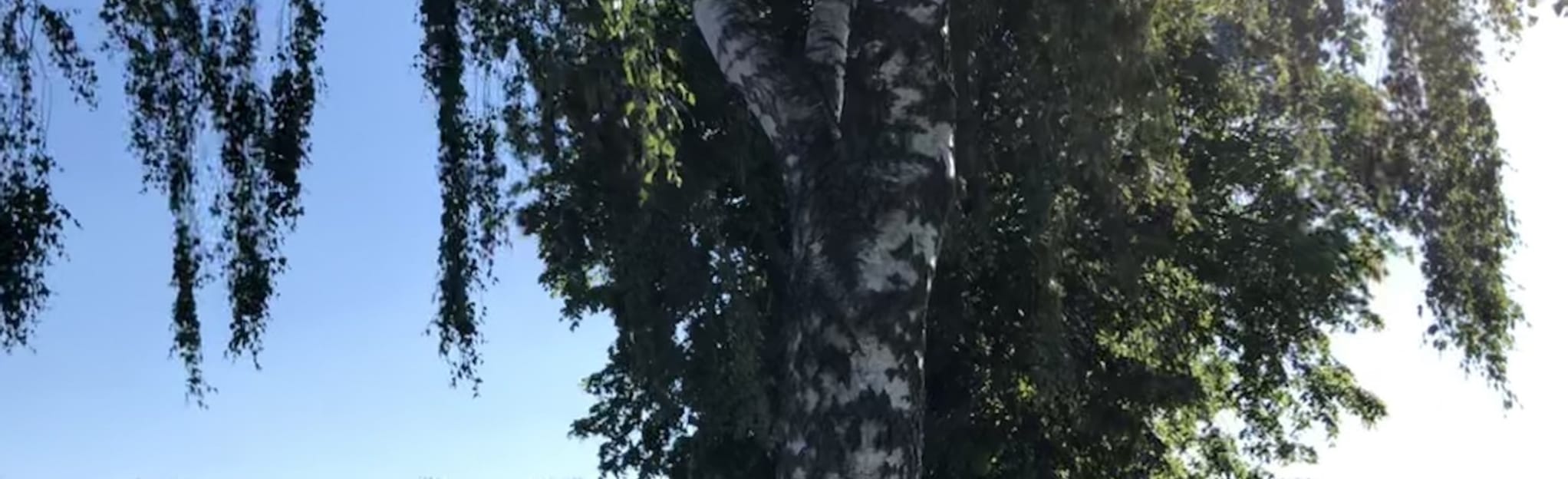 Hörstel - Torfmoorsee - Rodde, North Rhine-Westphalia, Germany - Map ...