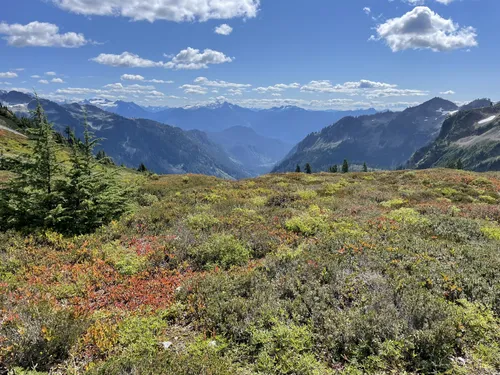 10 Best Trails and Hikes in Maple Falls | AllTrails