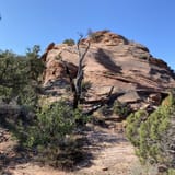 Lambs Knoll Climbing Site, Utah - 94 Reviews, Map | AllTrails