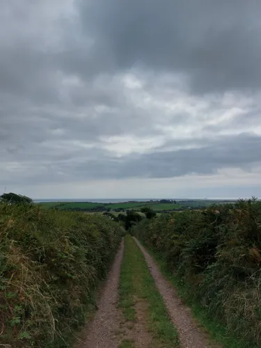 2023 Best Kid Friendly Trails in Killea | AllTrails