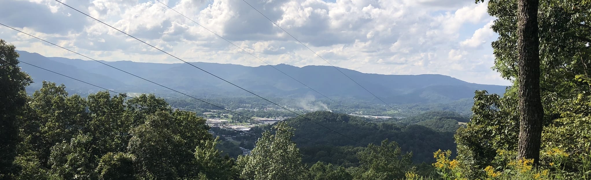 Tri-State Peak Trail, Tennessee - 784 Reviews, Map | AllTrails
