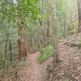 Numantia Falls, New South Wales, Australia - 105 Reviews, Map | AllTrails