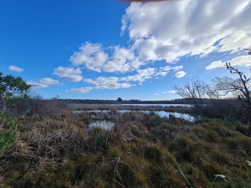 Best Hikes and Trails in Kaiapoi | AllTrails
