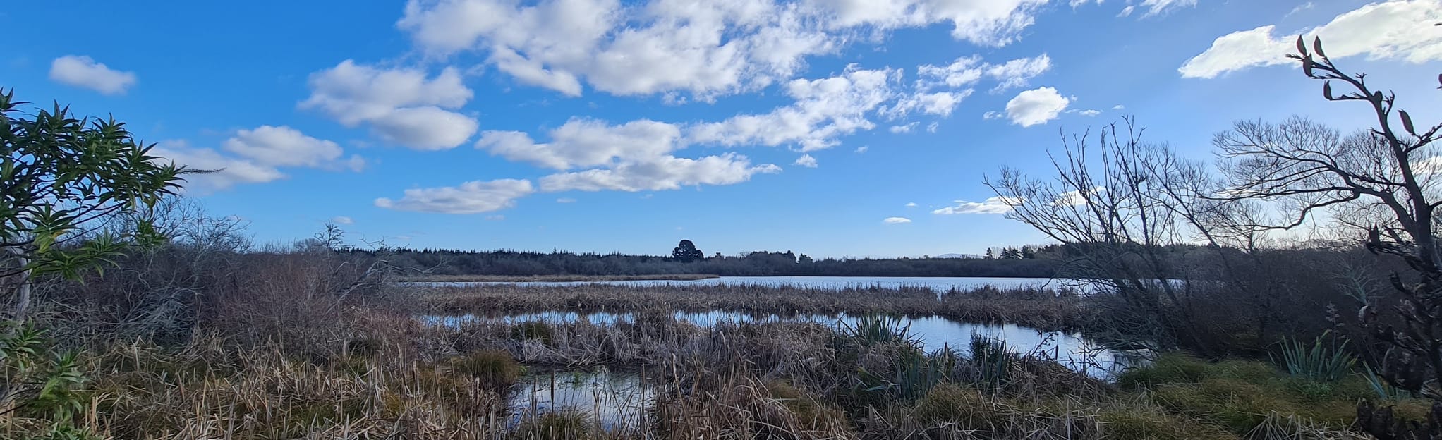 Pegasus Bay Walkway No.2, Canterbury, New Zealand - 10 Reviews, Map ...