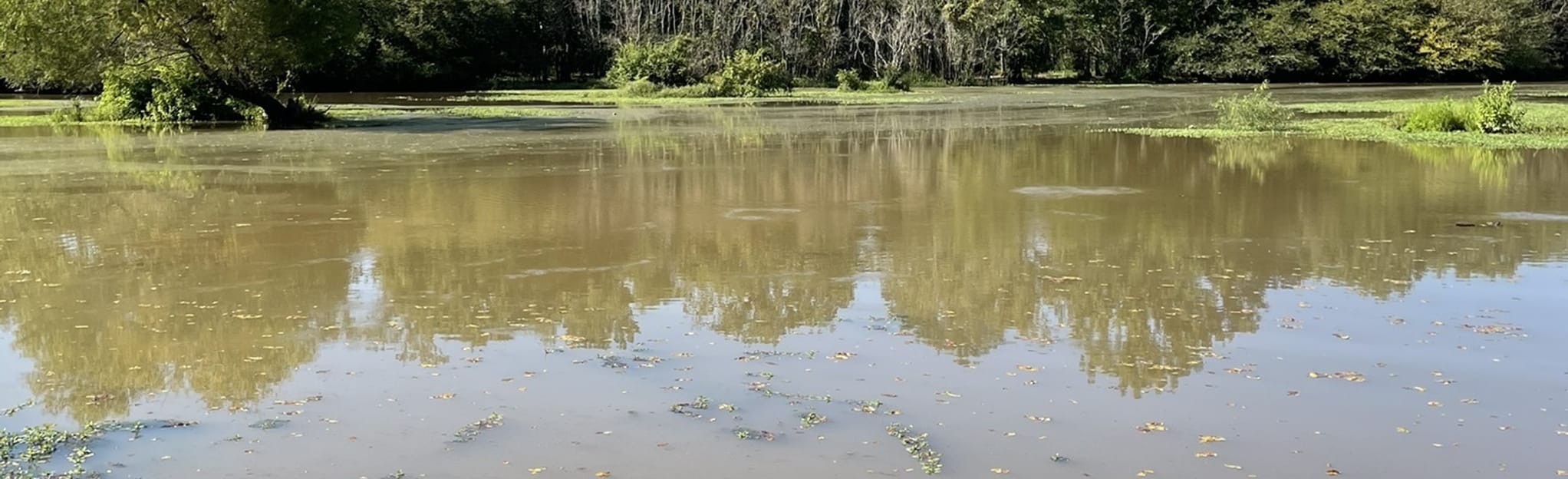 River Run ATV Park: 31 Reviews, Map - Texas | AllTrails