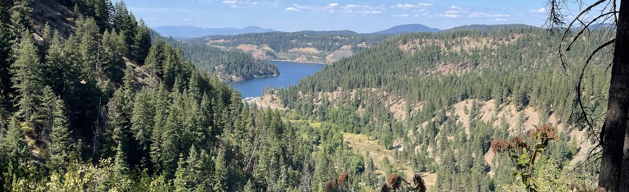 Mount Coeur d'Alene via Caribou Ridge Trail - Idaho | AllTrails