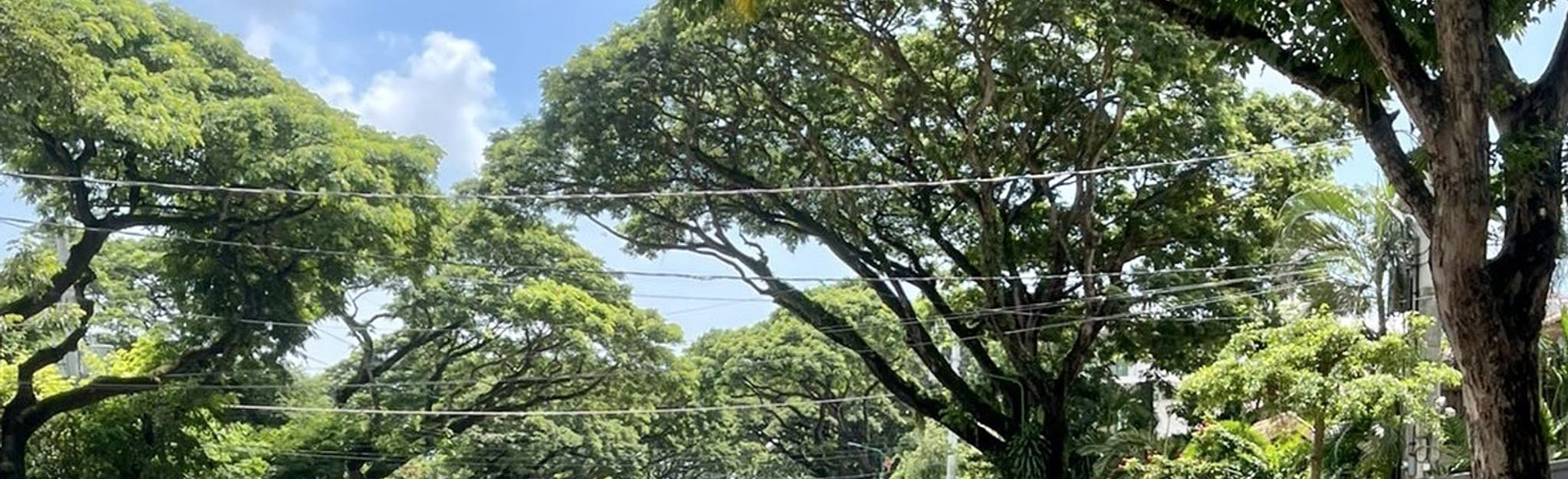 Alabang Golf and Country Club Bike Trail, Rizal, Philippines - 4 ...