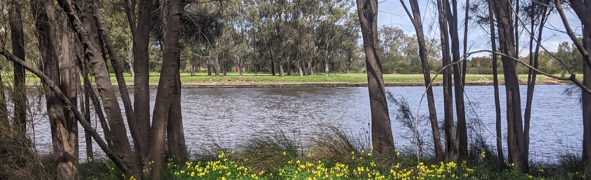 Causeway Bridge to Windan Bridge via Swan River, Western Australia ...