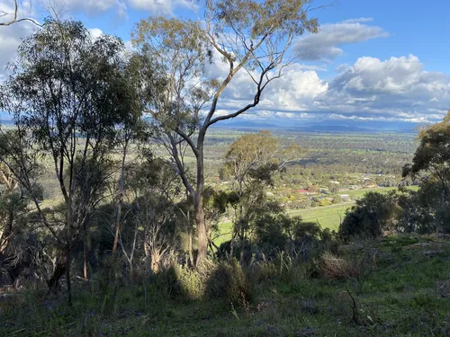 10 Best Hikes and Trails in Warby-Ovens National Park | AllTrails