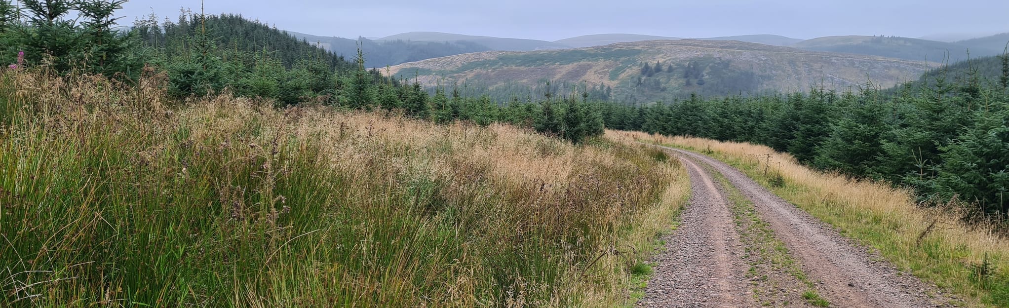 Alwinton to Kidland Forest: 4 Reviews, Map - Northumberland, England ...