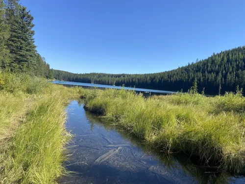 10 Best Trails and Hikes in Crowsnest Pass | AllTrails