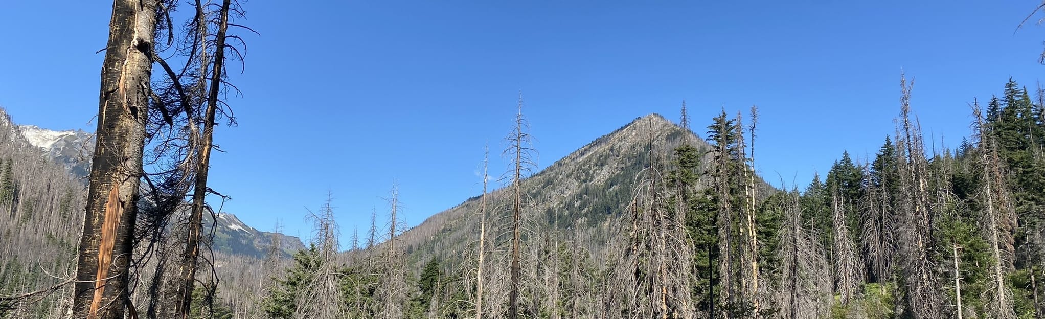 Buck Creek to High Bridge Campground: 4 Reviews, Map - Washington ...