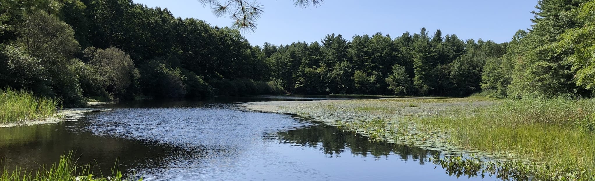 West Rock Ridge White/Red Loop | Map, Guide - Connecticut | AllTrails