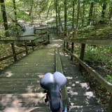 Bicentennial Greenway: Jamestown - Burnt Poplar, North Carolina - 161 Reviews, Map | AllTrails