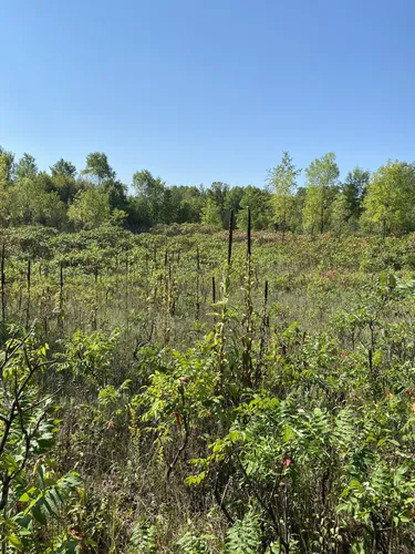 Best Hikes and Trails in Lake Maria State Park | AllTrails