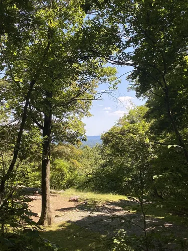 Best Hikes and Trails in Tourne County Park | AllTrails