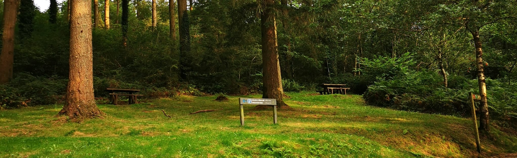 Cwm Rhaeadr MTB Trail, Carmarthenshire, Wales - 6 Reviews, Map | AllTrails