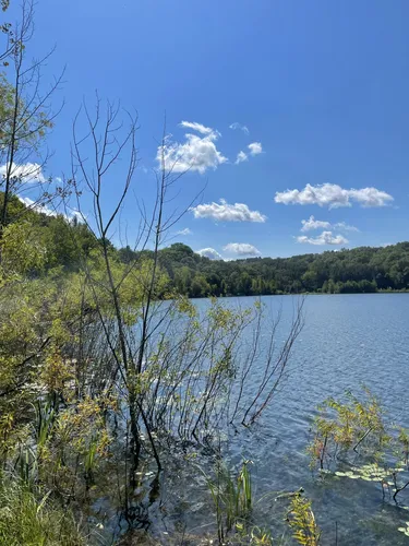Best Hikes and Trails in Homestead Parklands on Perch Lake | AllTrails