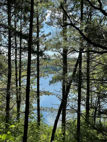 Best Hikes and Trails in Homestead Parklands on Perch Lake | AllTrails